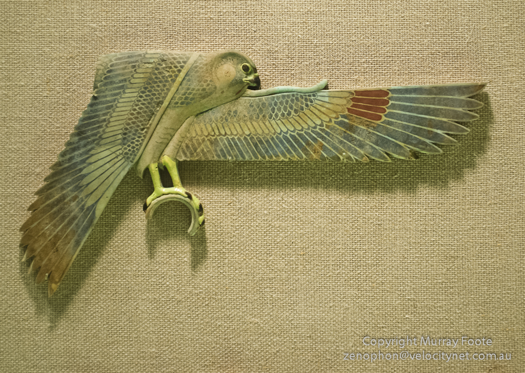 Hawk, ancient Egypt | Murray Foote