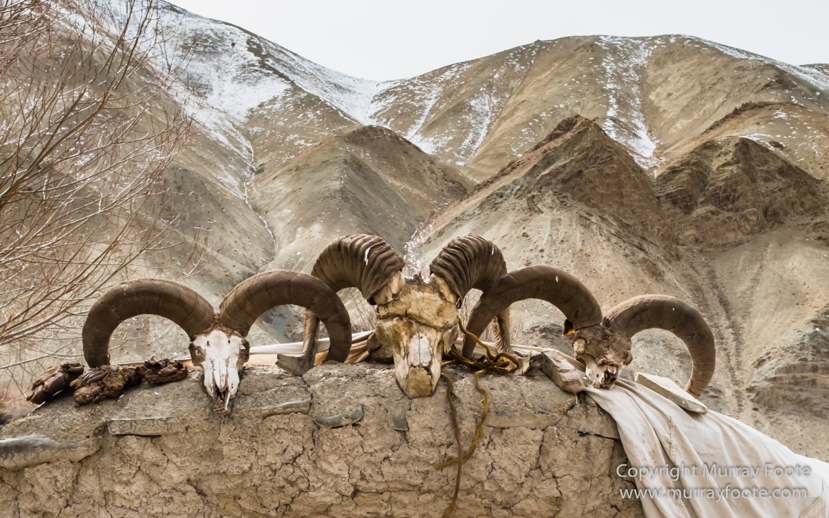 Rumbak Revisited | Murray Foote