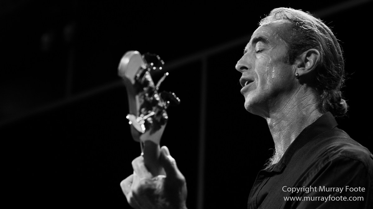 International Blues Day 2019 | Murray Foote