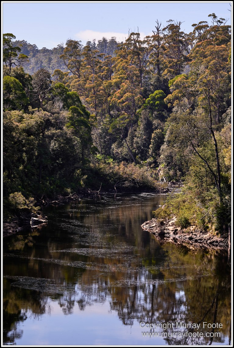 Murray Foote | Page 21